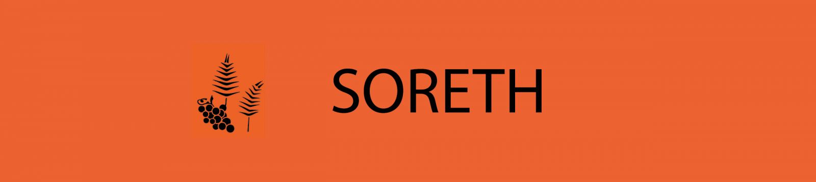 Soreth - Whitefriars College