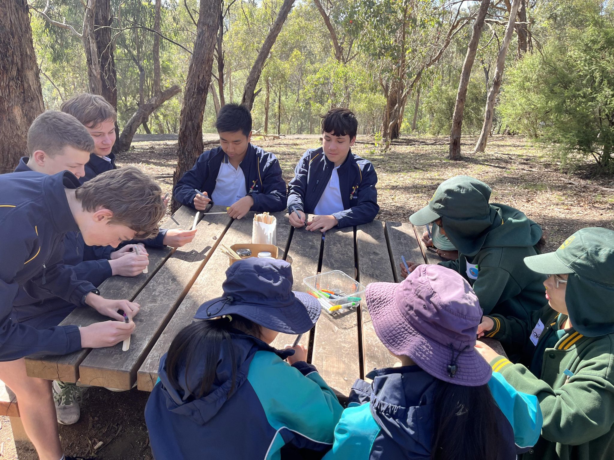 Student reflection - Primary school sustainability project ...