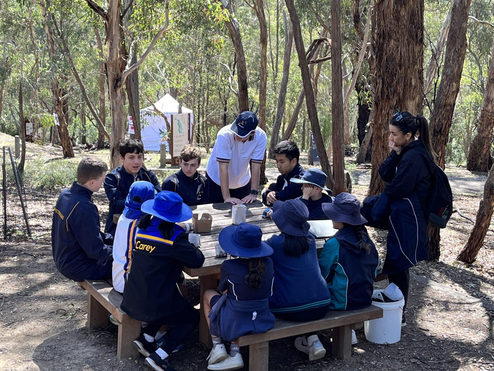 Student reflection - Primary school sustainability project ...